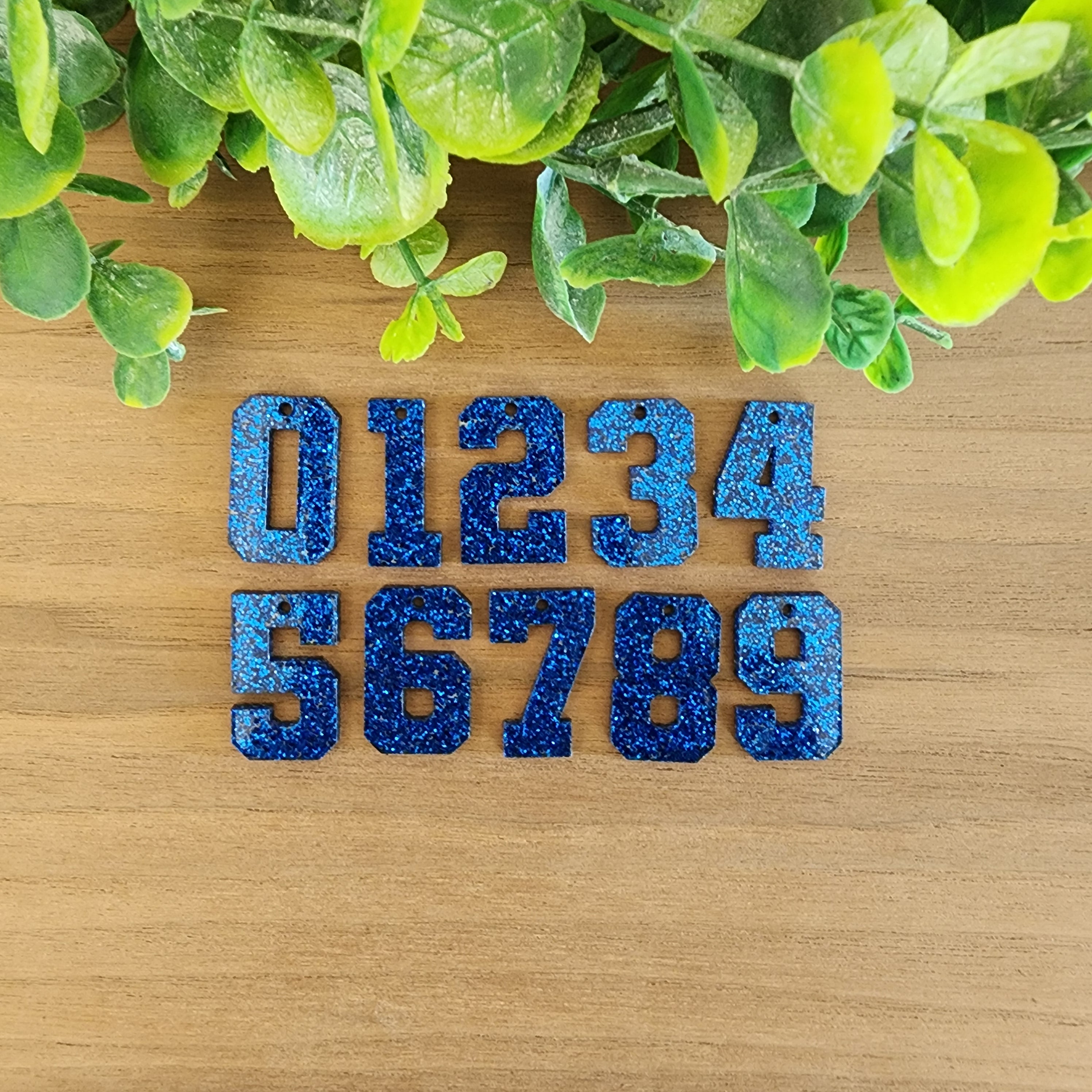 School Spirit Acrylic Number Drops – LilliBella Innovations