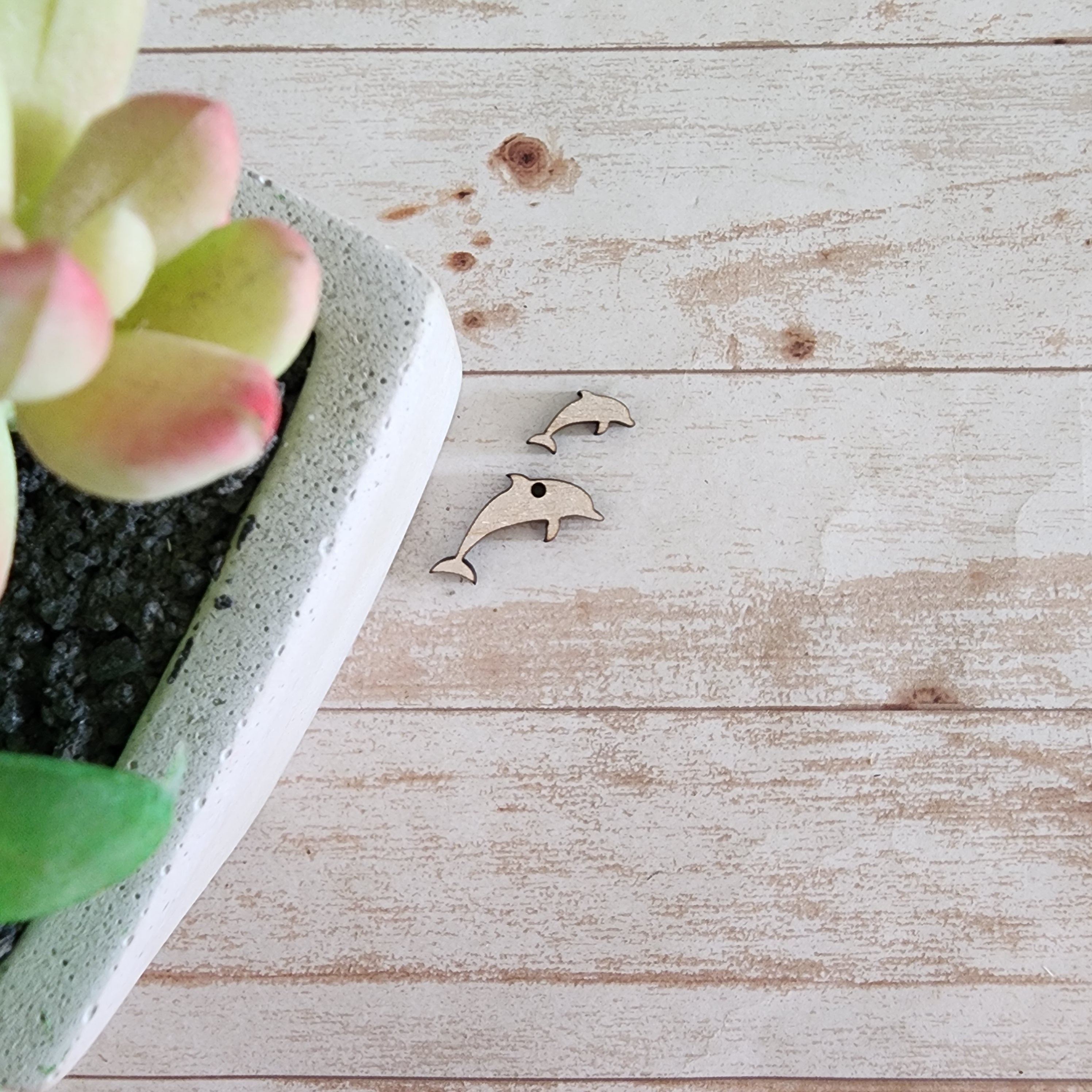 Dolphin Silhouette Stud & Drop – LilliBella Innovations